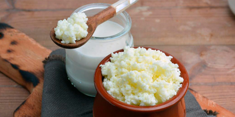 Beneficios de los bulgaros: Lo que no sabias de este alimento ancestral ...